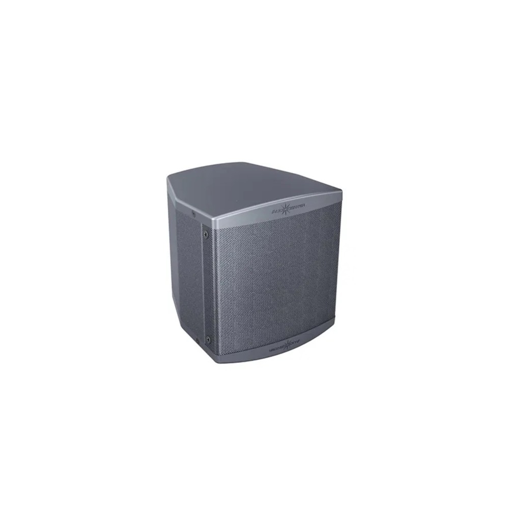 Audiocenter Artist T3 full-range loudspeaker (Inquiry for Price)