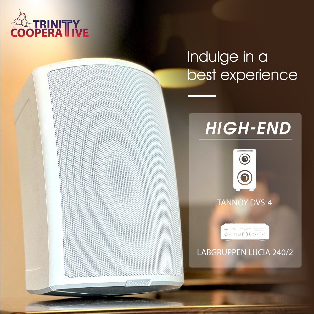 The PREMIUM PA Sound System for Cafe & Restaurant - Tannoy DVS-4 & Lab ...